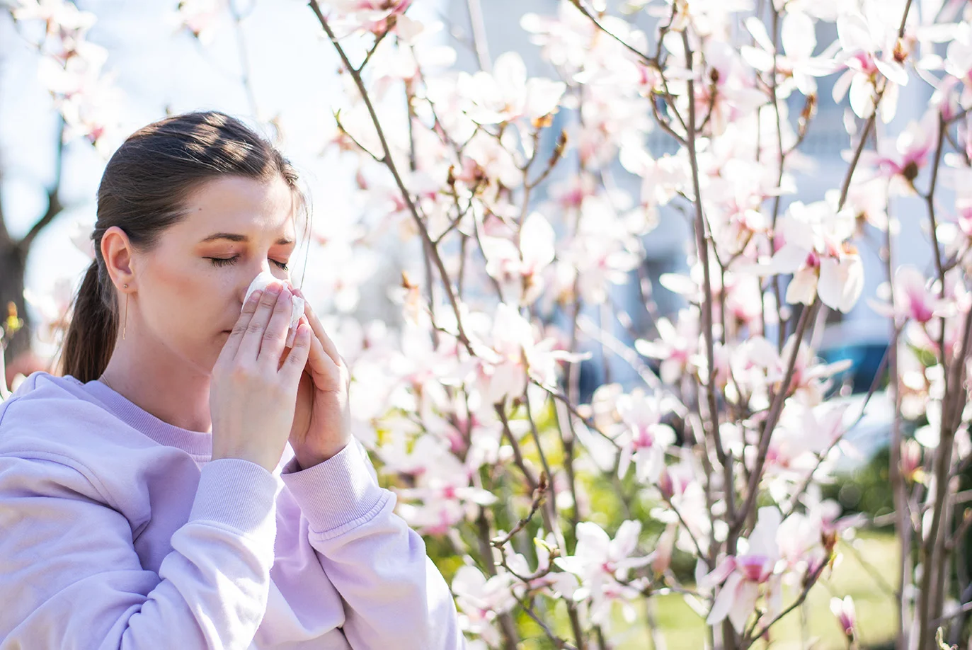 Hay Fever Treatment in Huddersfield | Park View Pharmacy